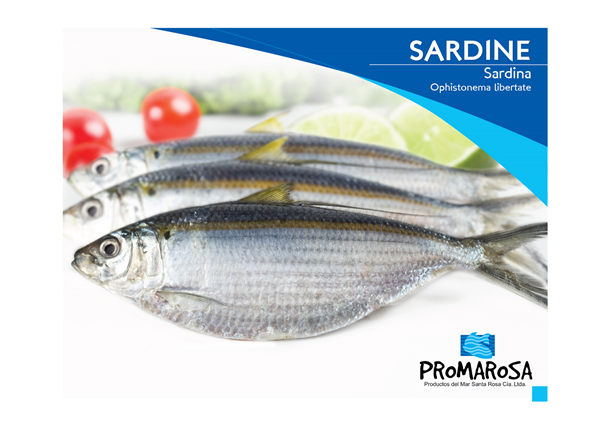 PROMAROSA, PRODUCTOS DEL MAR SANTA ROSA CIA. LTDA Conxemar 2023