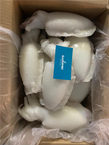 Cleaned Cuttlefish Morocco – Sepia officinalis ORIGIN: Morocco (Dakhla ...