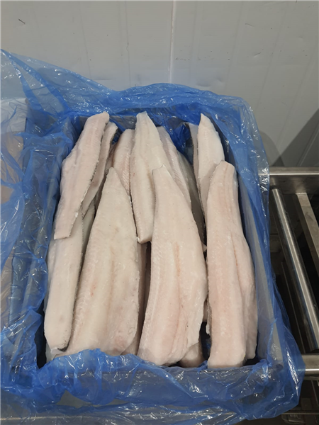 SOUTHERN HAKE FILLET Conxemar 2025