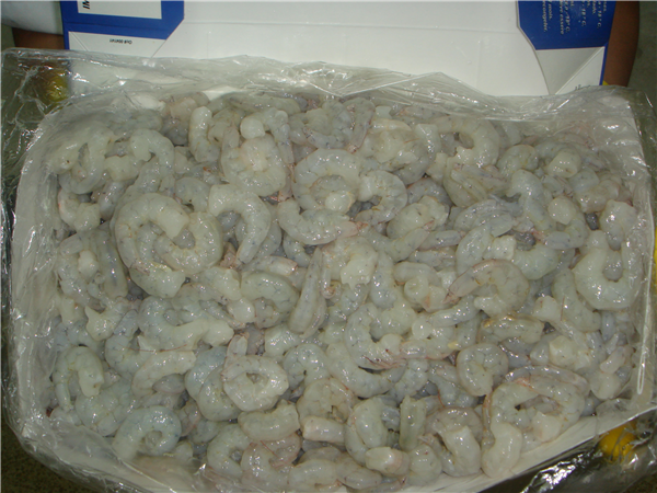 TITI PUD SHRIMP Conxemar 2025