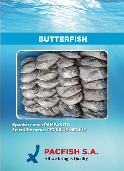 BUTTERFISH Conxemar 2023
