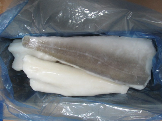 COHINO, SL Conxemar 2023