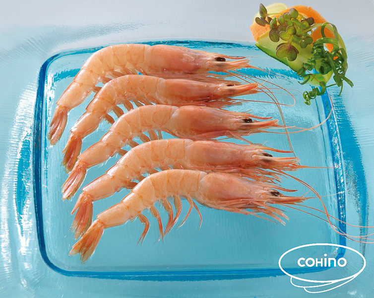 GAMBA BLANCA ENTERA Conxemar 2023